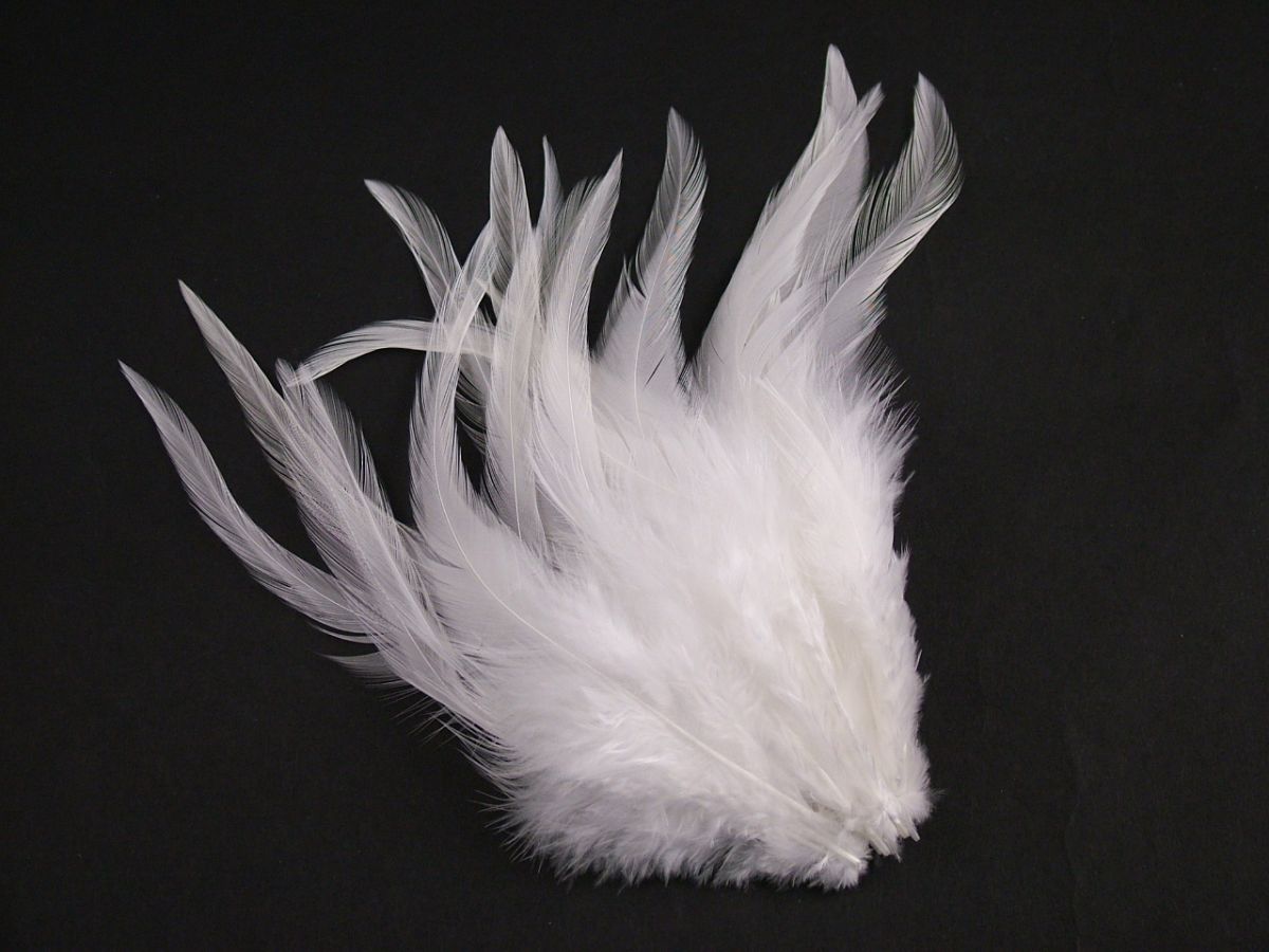 Cockerel Hackle feathers ideal for craft, feather flowers and jewellery
