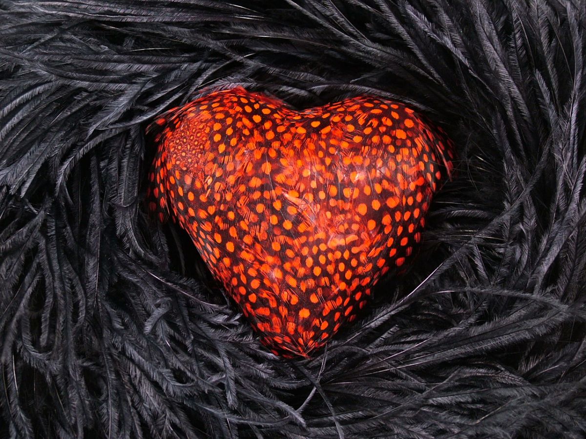 Spotty Feather Craft Kit - Create Your Own Valentine's Day Gifts