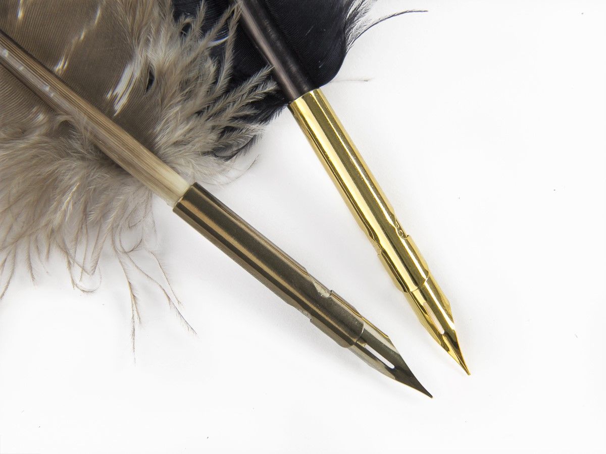 Zebra Pointer Pen, Naturally Striped Turkey wing feather with deluxe ...