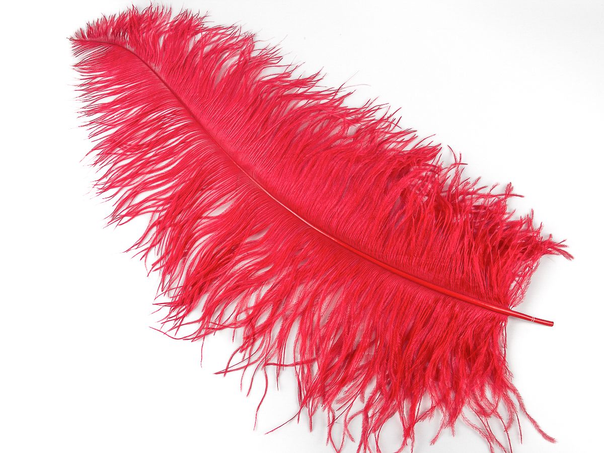 Extra Long Ostrich Premium Wing feathers