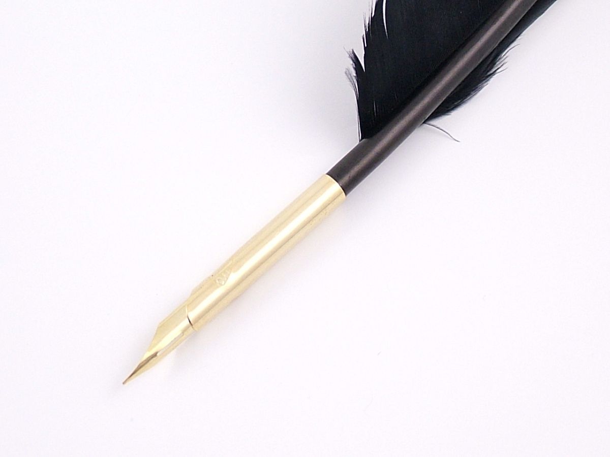 Feather Pens | Natural & Dyed Goose Feather Nibs