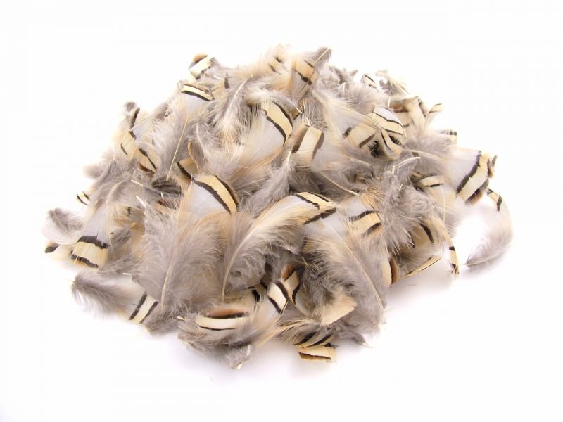 Natural French partridge plumage feathers for craft and decoration