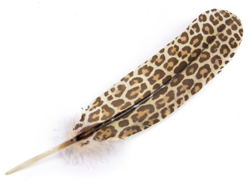 Leopard print Turkey quills