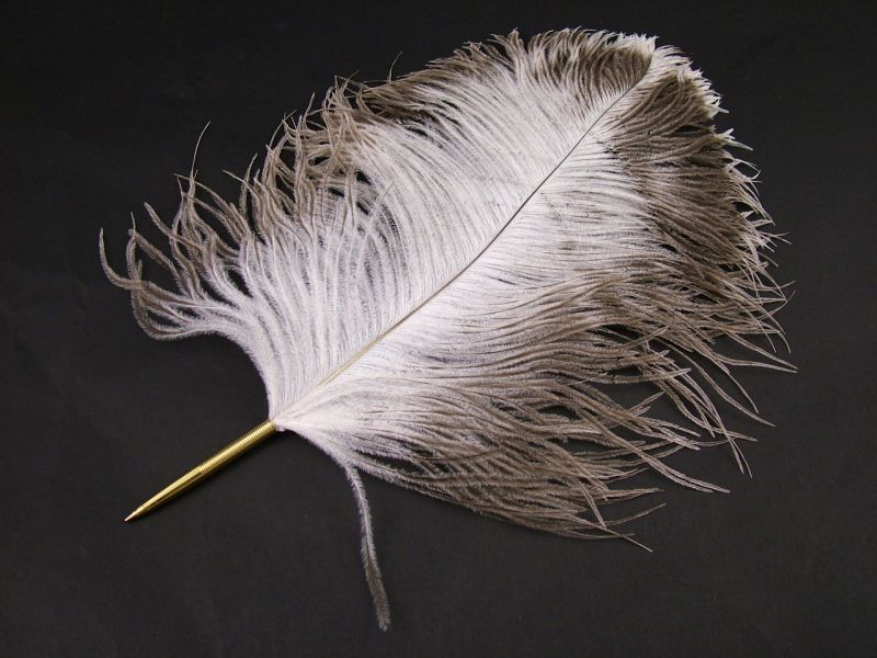 Ostrich Feather Pens | Deluxe Ballpoint Feather Pen