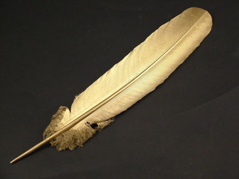 Golden Turkey Quills ideal for festive decorations, wreathes